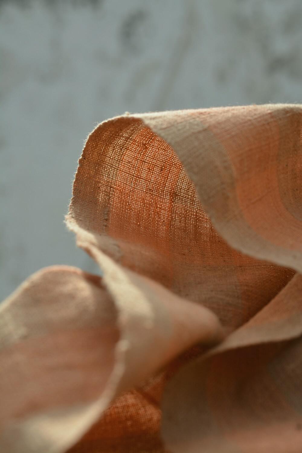 Organically grown, natural coloured brown cotton fabric - Kandu